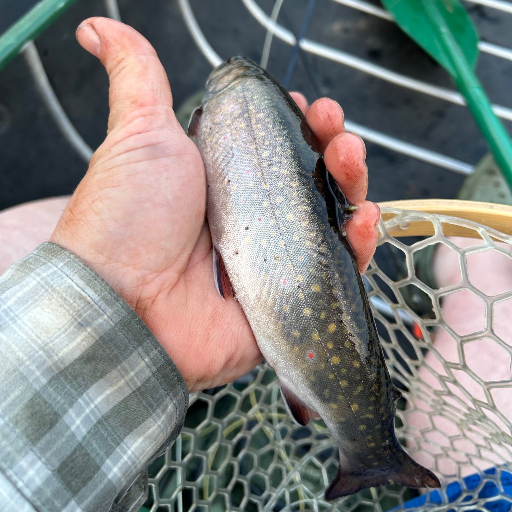 Fishing – Cozy Cove Cabins